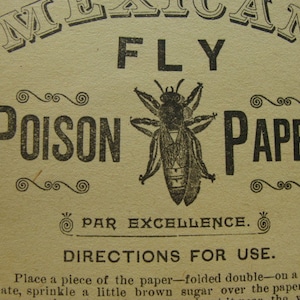 Antique Poison Creepy Label 6 Inches - Etsy