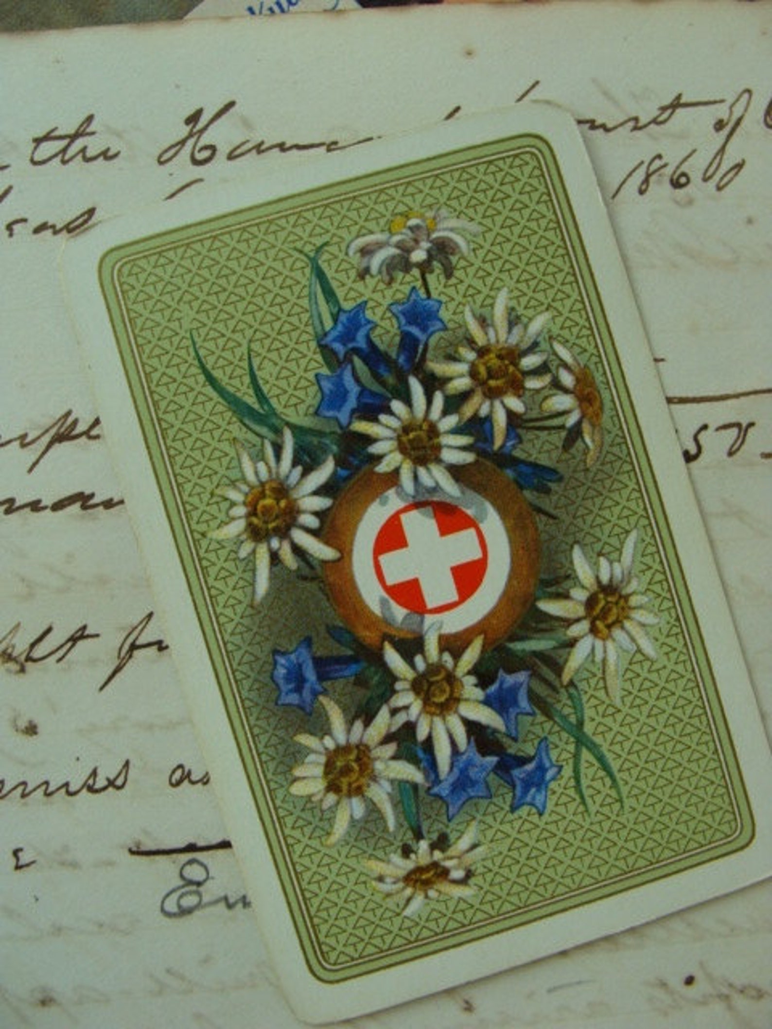 Rare and Gorgeous Antique Medical First Aid French Collector Playing ...