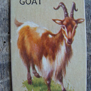 Antique Stunning Goat Rare Card Board Flash Card Great for Farmhouse ...