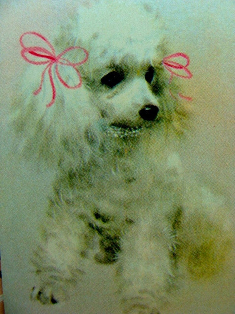 Vintage Beautiful White French Poodle Playing Cards - Etsy