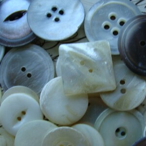 4 Dozen Antique Abalone Carved Shell Buttons Mother of Pearl Large ...
