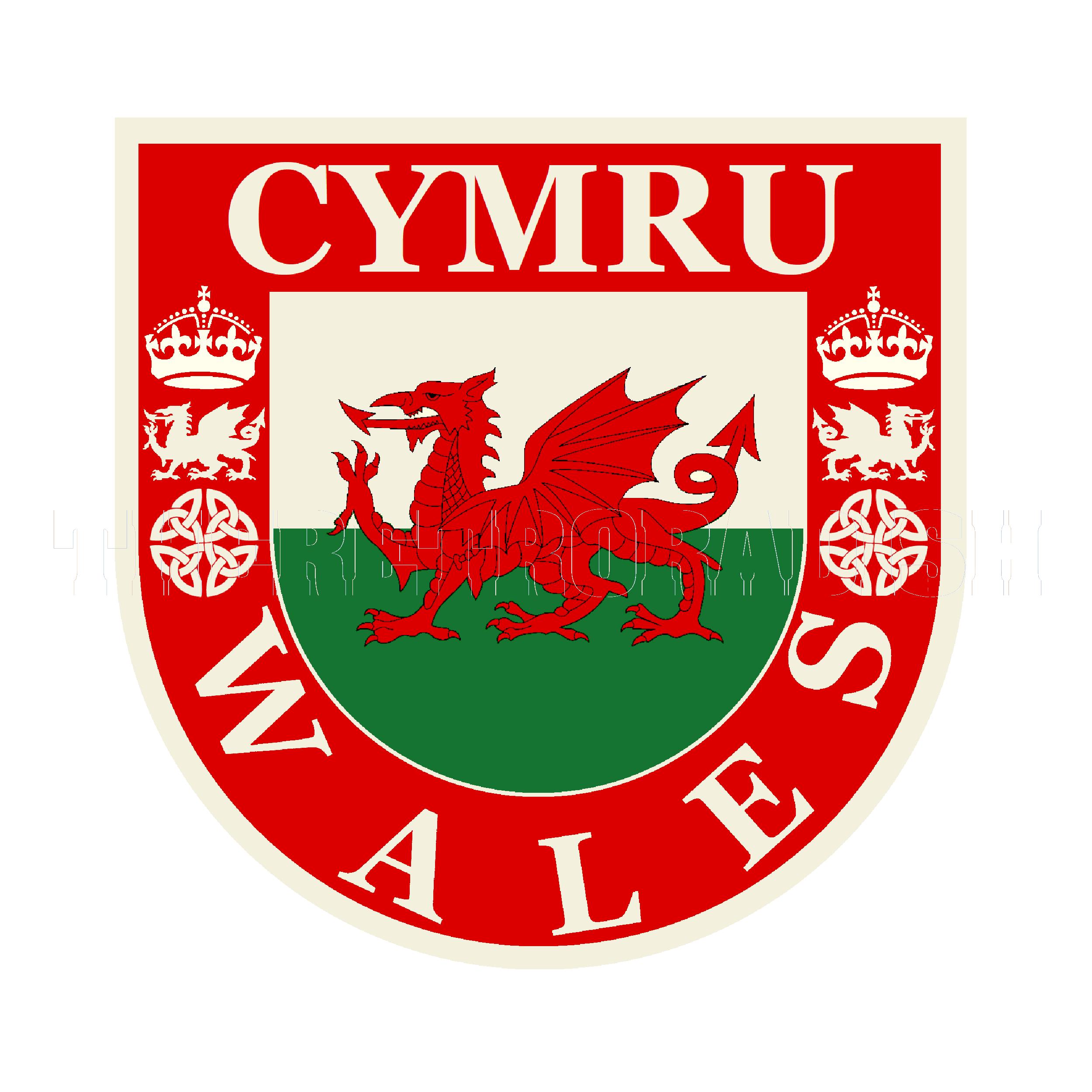 Sticker | 1970s British Welsh Heritage Welsh Flag Lions Dragons Celtic ...