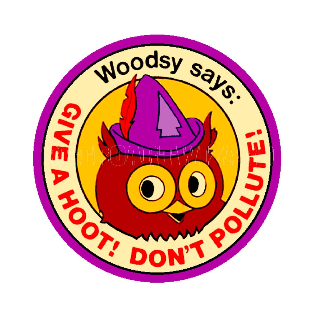 1970s Give a Hoot Don't Pollute Says Woody Owl Sticker Decal Label - Etsy