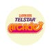 1970s Video Game History 70s Gaming Coleco Telstar Logo Telstar Arcade ...