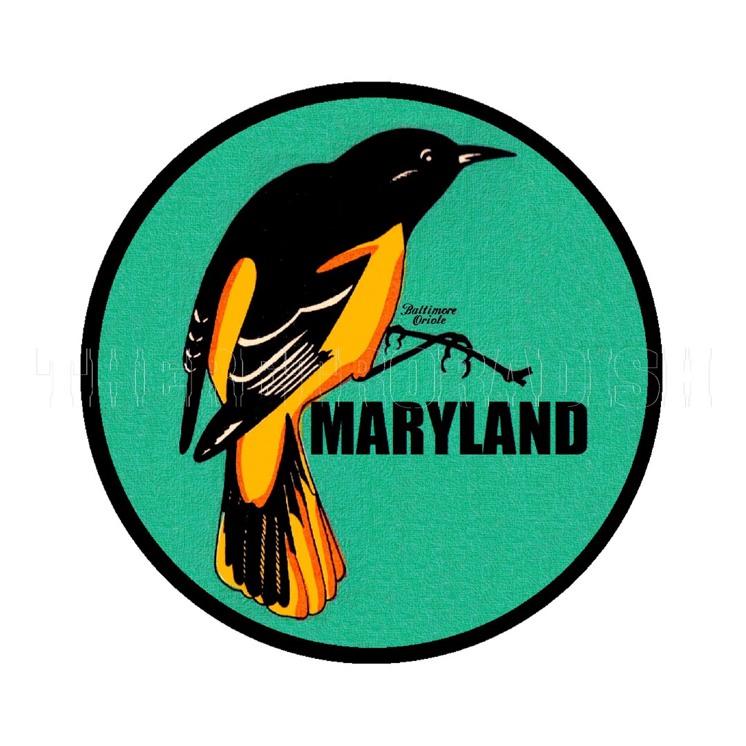1950s MD State Bird Baltimore Oriole Maryland Sticker Decal Label - Etsy