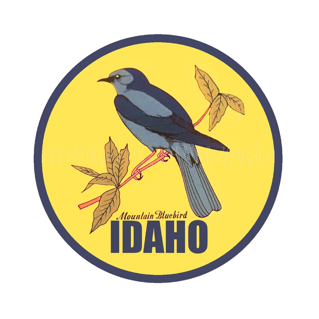 1960s ID State Mountain Bluebird Bird Idaho State Bird Sticker Decal ...