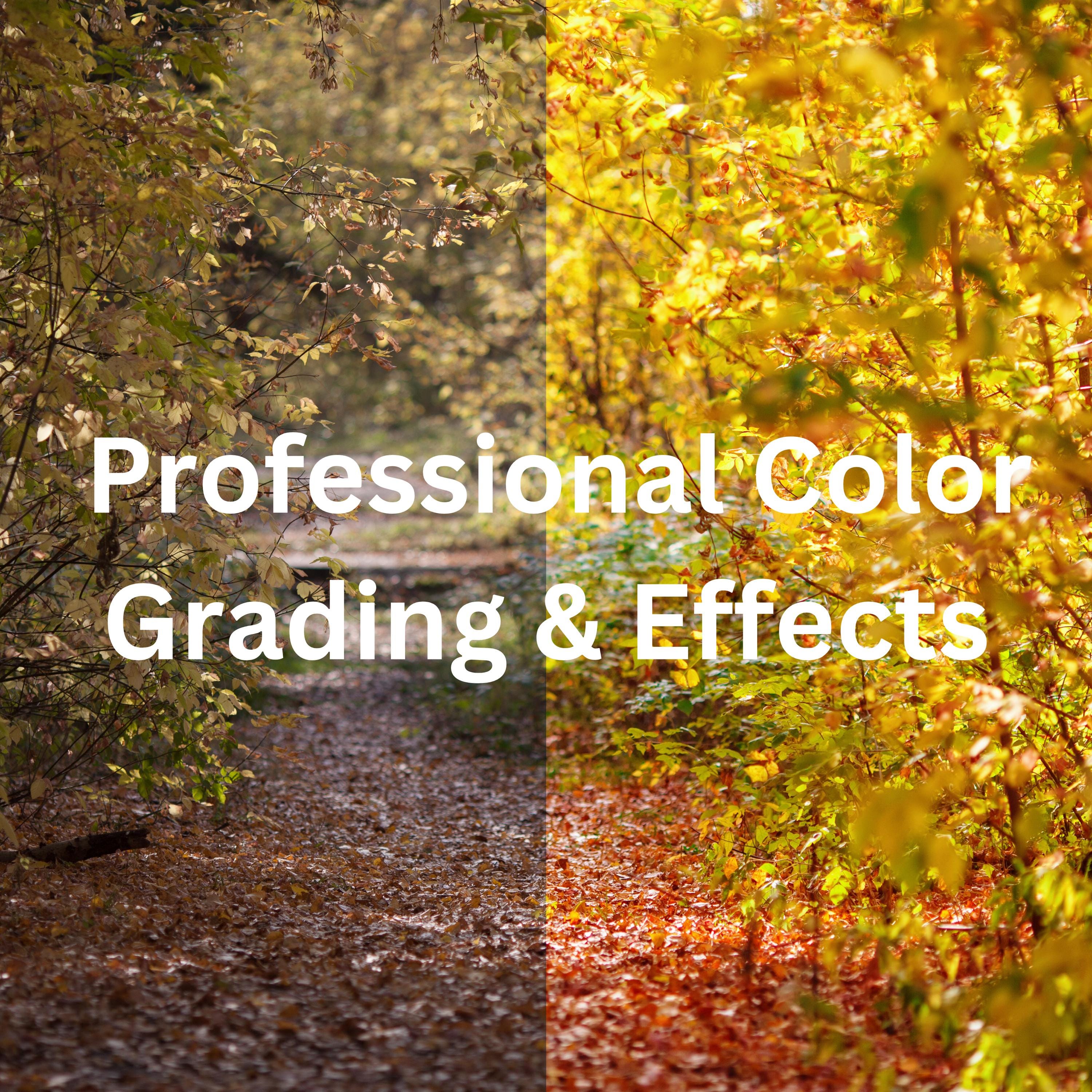 20,000+ PRO Presets & Luts MRR Bundle | Color Grading, Editing ...