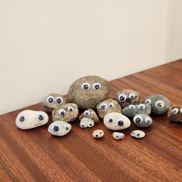 Pet Rocks - Etsy