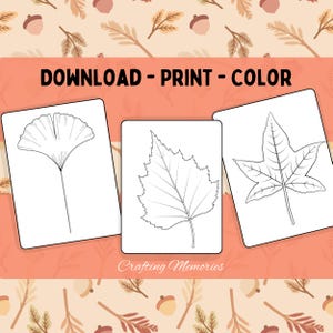 Easy Full Page Fall Autumn Leaf Coloring Pages for Kids Printable ...