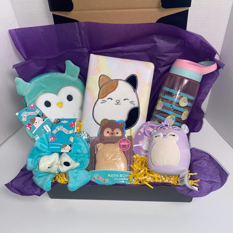 Squishmallow Gift Box, Girls Birthday Box, Get Well Box, Christmas Gift ...
