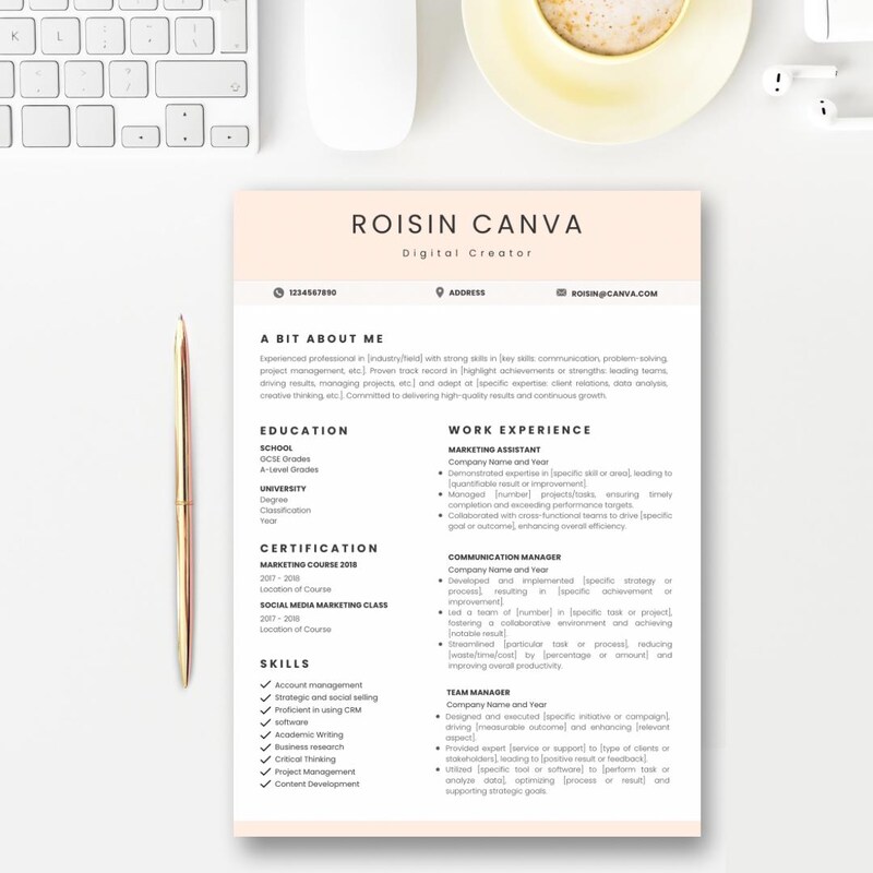 Professional Cv - Etsy
