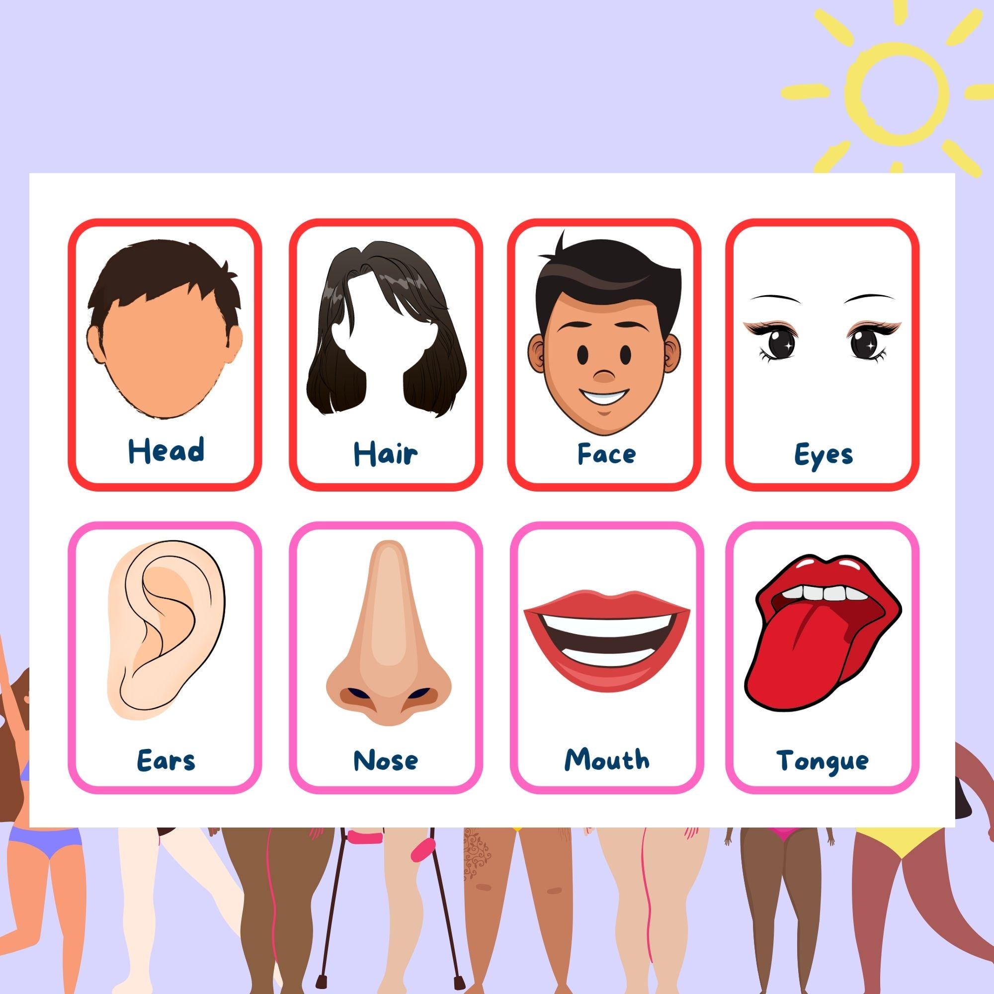 Body Parts Flashcards for Kids Between 1 and 3 Years Old - Etsy