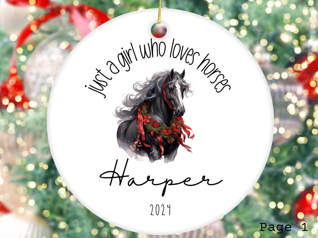 2024 Personalized Horse Bauble Ornament Horse Christmas Keepsake Family ...