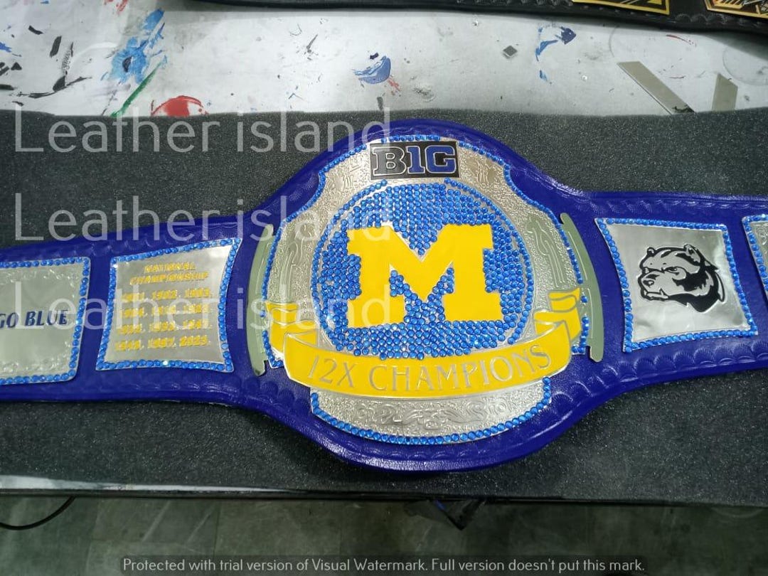 New Michigan 12x Championship Custom Design Belt Adult Size 2mm - Etsy