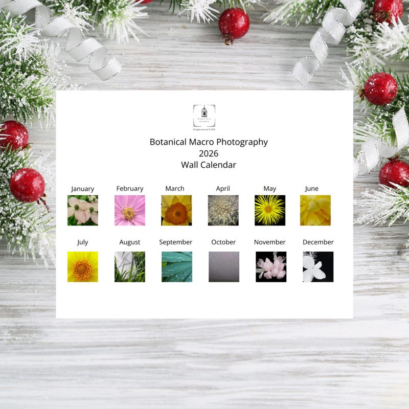 Macro Nature Calendar - Etsy UK