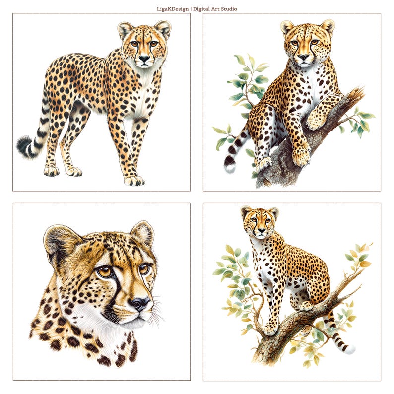 Cheetah Clipart Bundle, Safari Animal PNG, Jungle Wildlife Clipart ...