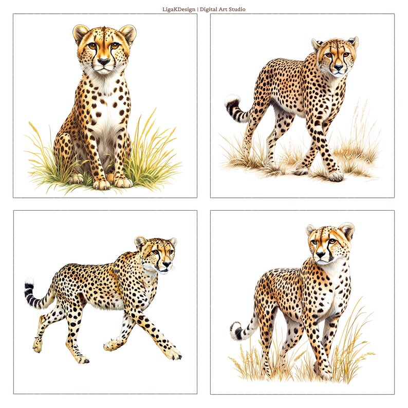 Cheetah Clipart Bundle, Safari Animal PNG, Jungle Wildlife Clipart ...