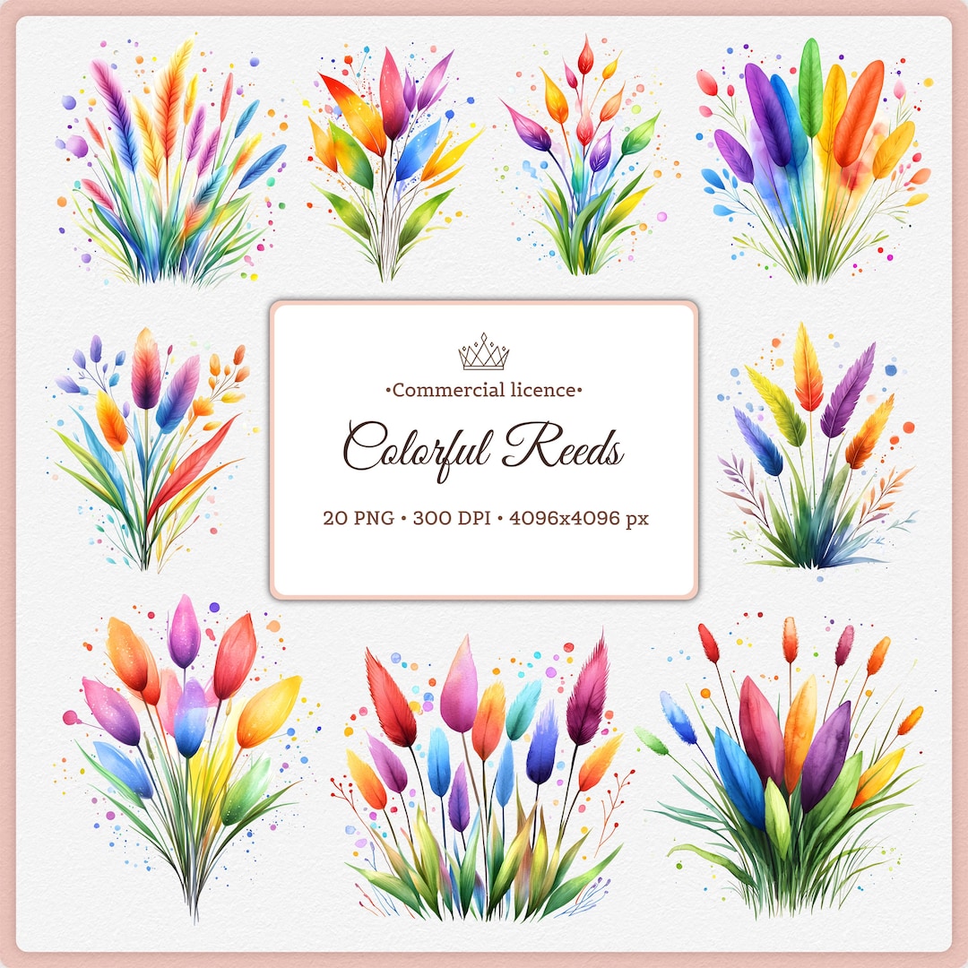 Rainbow Reed Clipart Bundle | Colorful Wildflower Watercolor Grass PNG ...