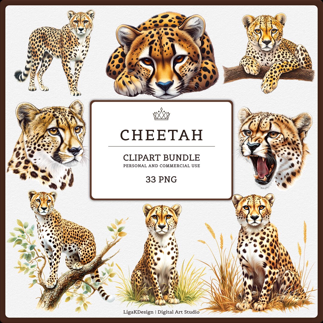 Cheetah Clipart Bundle, Safari Animal PNG, Jungle Wildlife Clipart ...