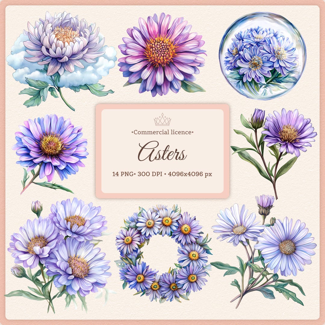 September Birth Flower Aster Clipart PNG Watercolor Purple Aster ...
