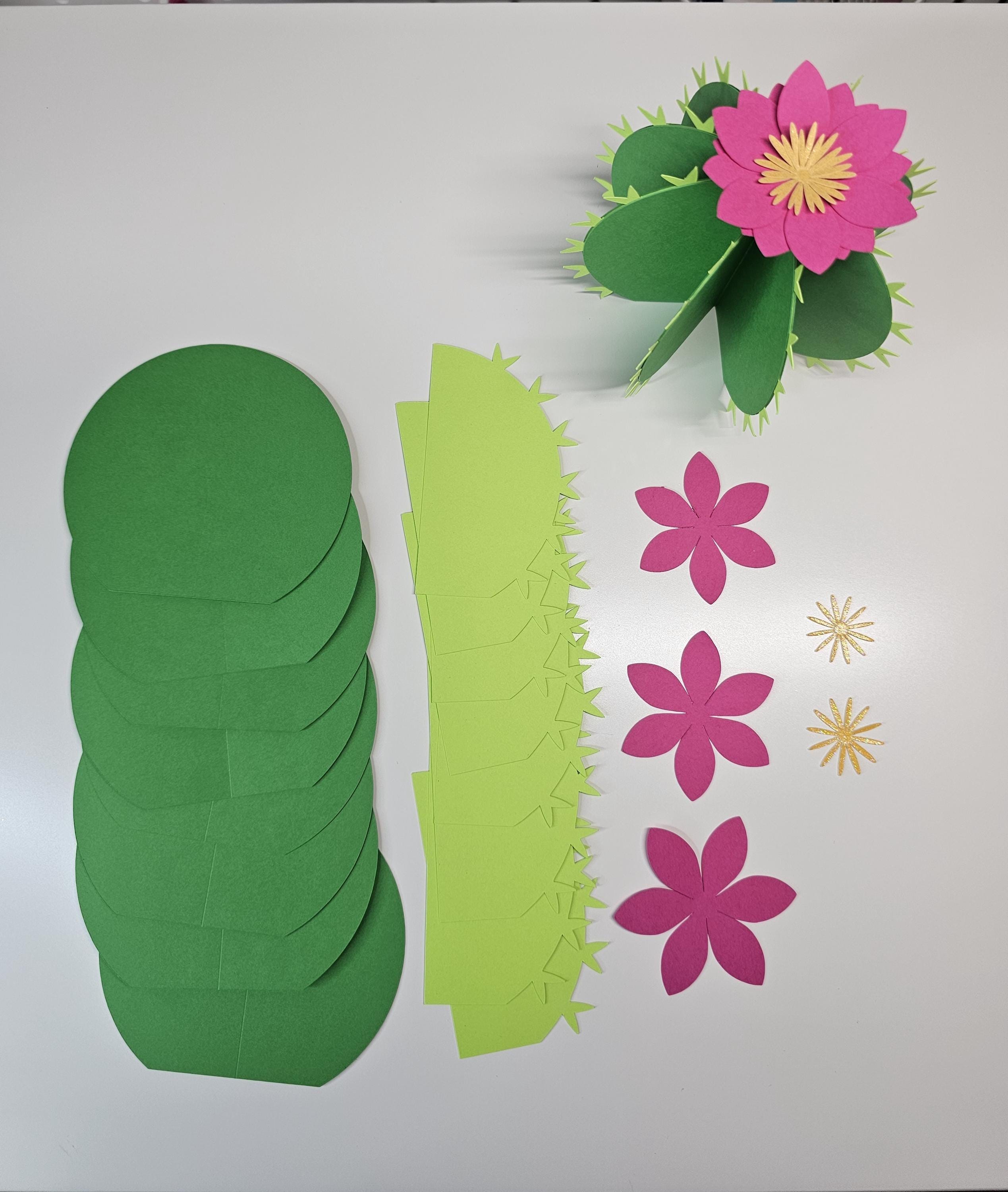 DIY Paper Cactus Craft Kit - Create Your Own Blooming Dessert Beauty ...