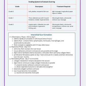 Wound Management Guide for Pt/ot/hand Therapy (digital Download) - Etsy