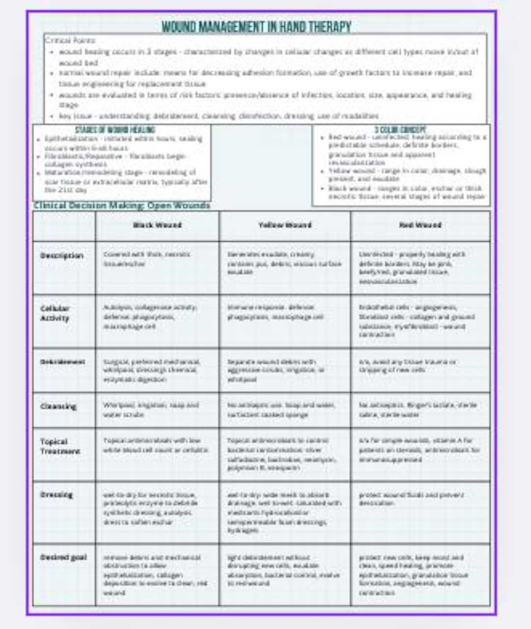 Wound Management Guide for Pt/ot/hand Therapy (digital Download) - Etsy