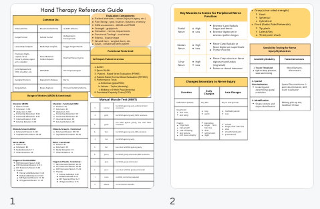Occupational & Hand Therapy Reference Guides *BUNDLE* (common Dx, Tx ...
