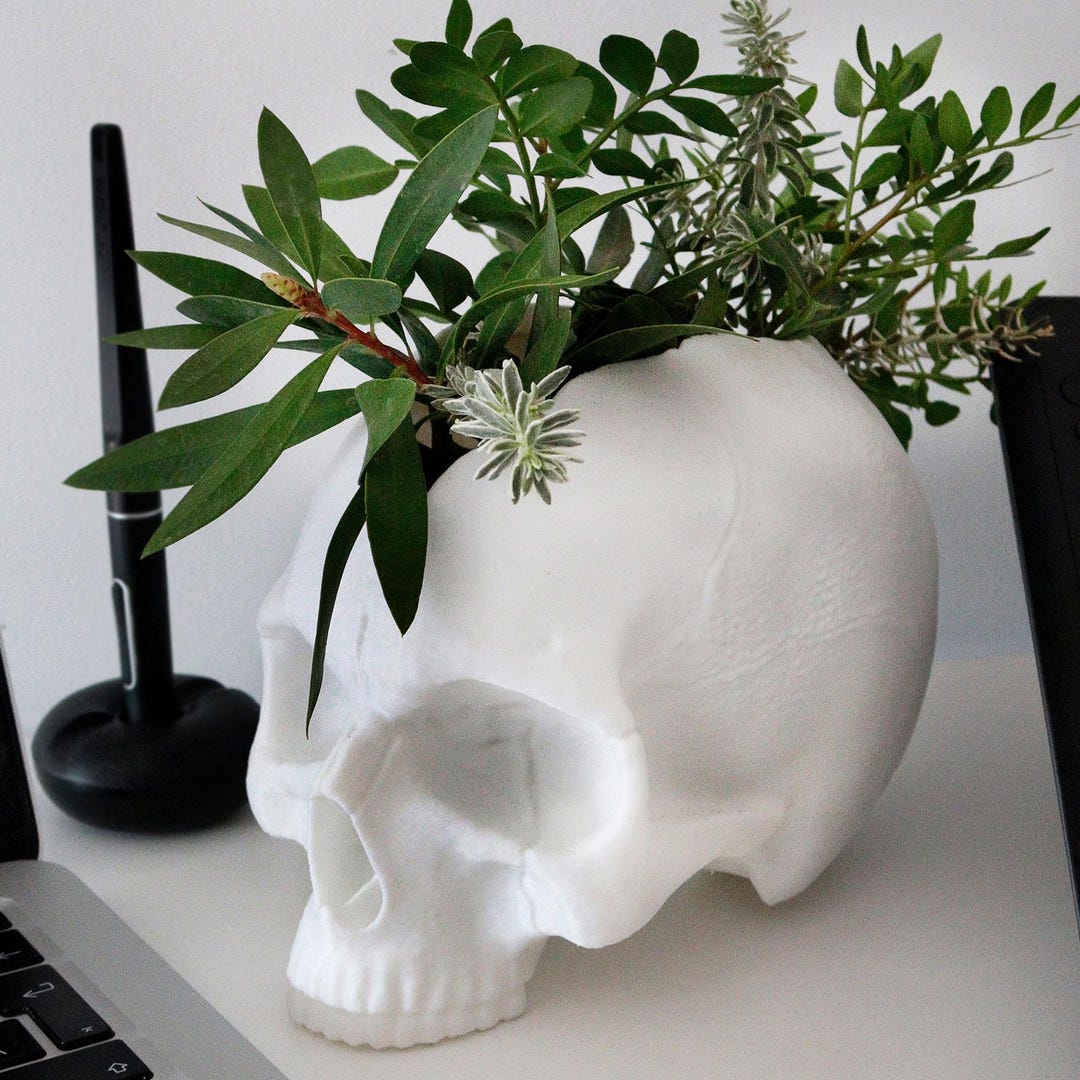 Mohawk Skullvase - Planter | Flower Pot | 3D Printed Home Decor ...