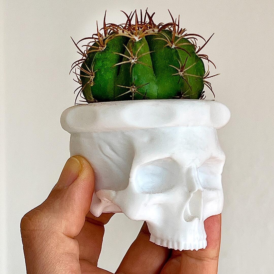 The Nutskull Mini Vase 3d-printed Skull Planter for Suculents and Cacti ...