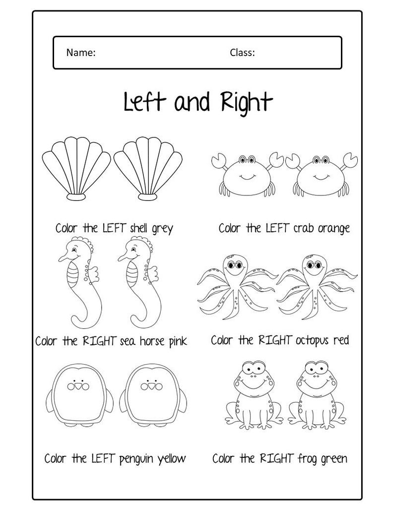 Left and Right Color the Correct Position Worksheets for Kindergarten ...