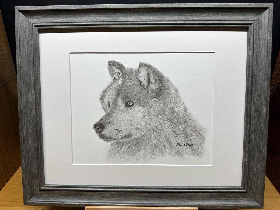 Gray Wolf Nature Wildlife Graphite Pencil Art Sketch Drawing Print ...