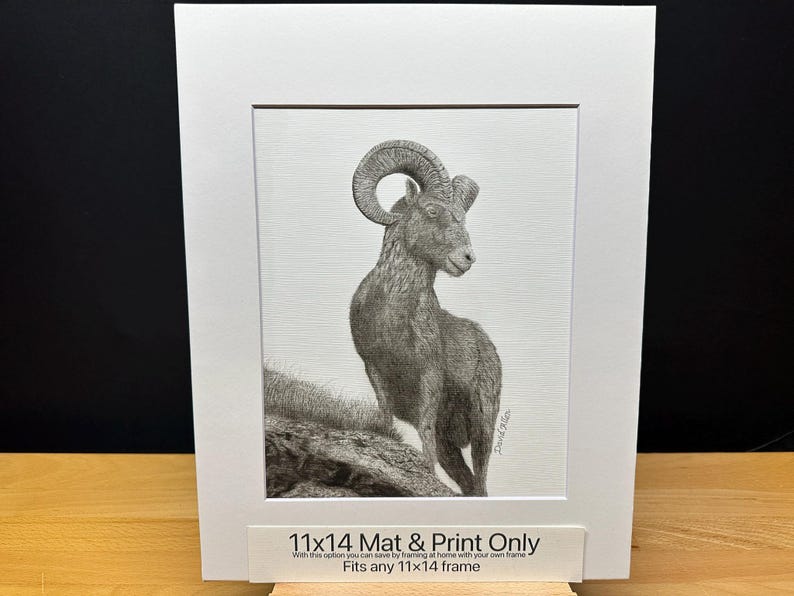 Hand Drawn Bighorn Sheep Ram Nature Wildlife Graphite Pencil Sketch ...