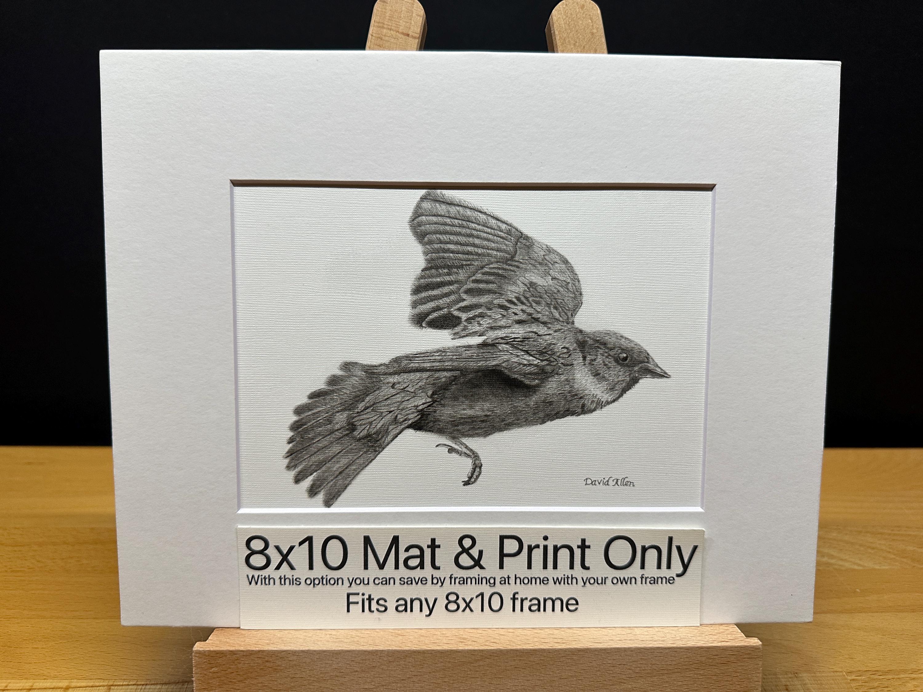 Sparrow Bird Flying Graphite Pencil Art Sketch Drawing Print Picture ...