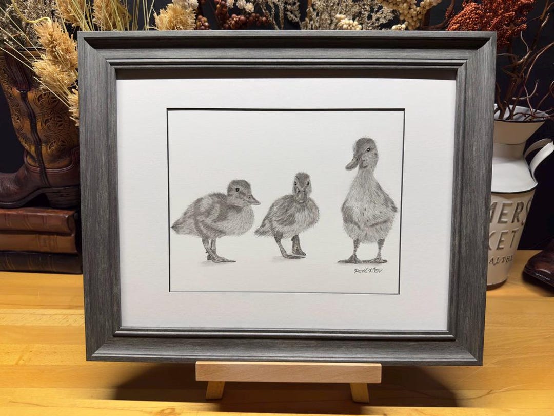 Baby Duck Ducks Graphite Pencil Art Sketch Drawing Print Picture ...