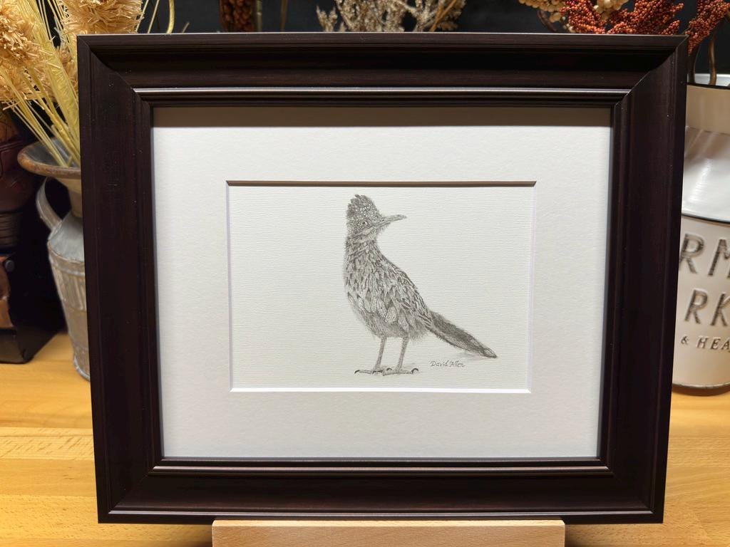 Roadrunner Road Runner Bird Graphite Pencil Art Sketch Drawing Print ...