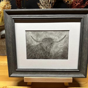 Highland Cow Bull Nature Wildlife Graphite Pencil Art Sketch Drawing ...