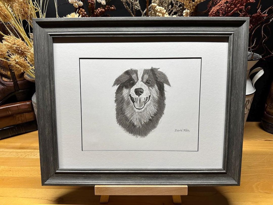 Mini Australian Shepherd Aussie Dog Graphite Pencil Art Sketch Drawing ...
