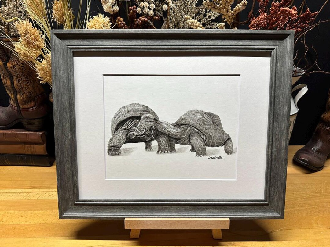 Noah's Ark Series Turtles Tortoise Graphite Pencil Art Sketch Drawing ...