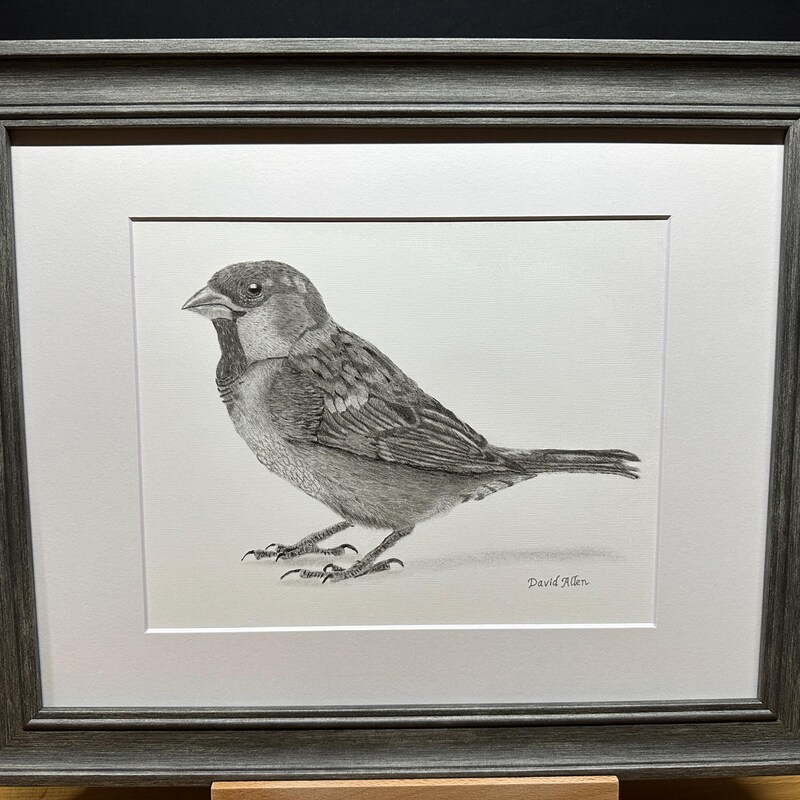 Bird Pencil Drawing - Etsy
