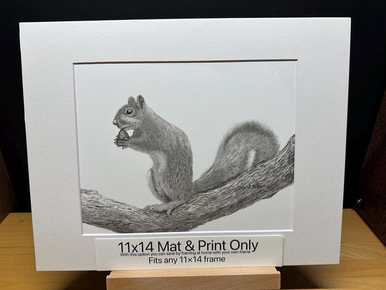Squirrel Eating Nut Nature Wildlife Graphite Pencil Art Sketch Drawing ...