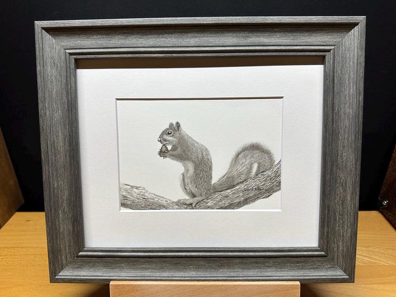 Squirrel Eating Nut Nature Wildlife Graphite Pencil Art Sketch Drawing ...