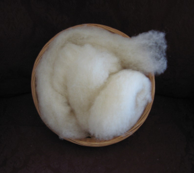 Ballet Pointe Shoe Wool Padding, 1 Oz. - Etsy