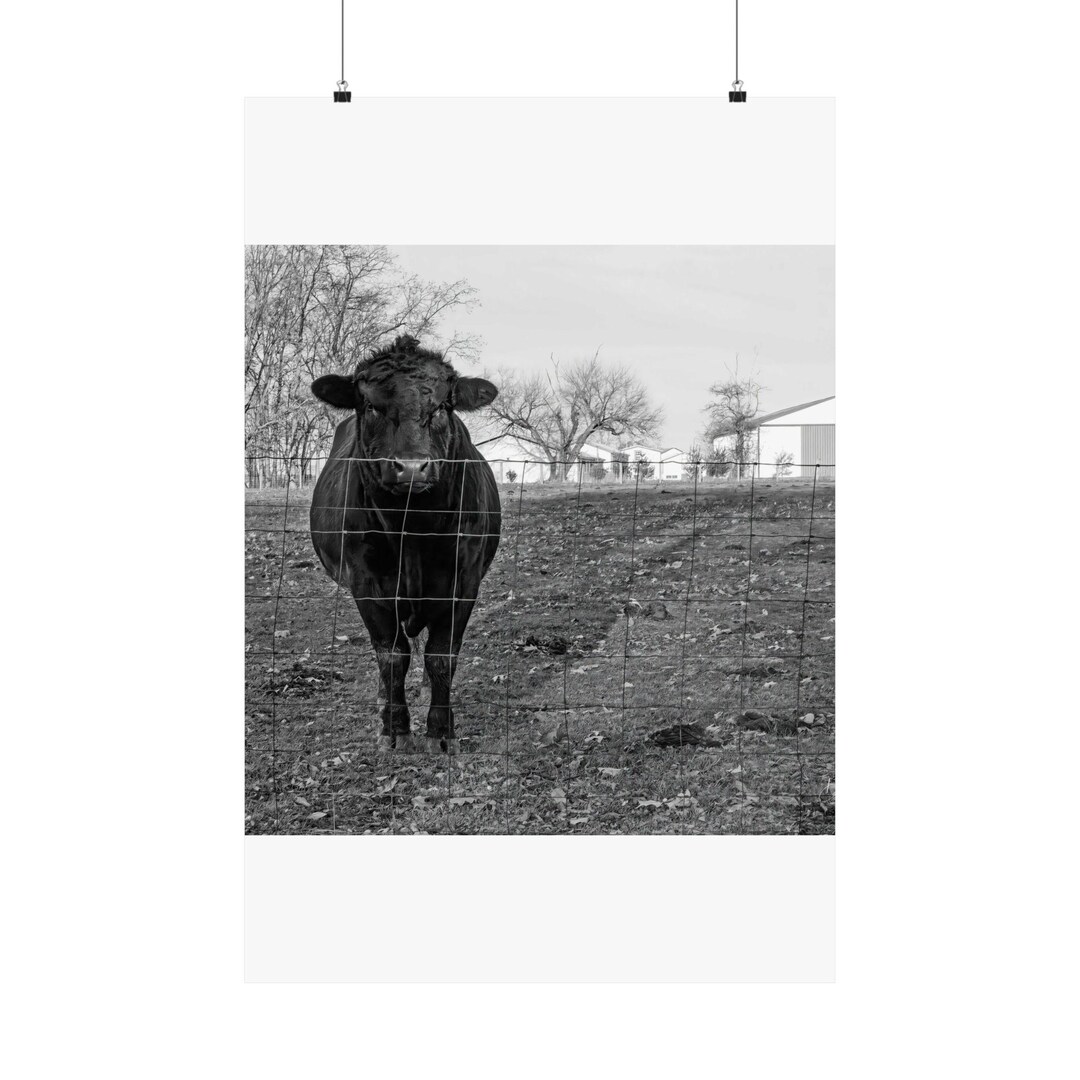 Social Distancing Standoff Matte Vertical Posters - Etsy