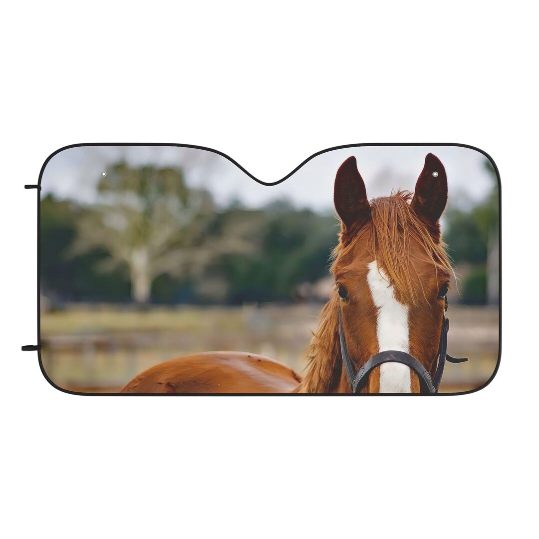Arabian Horse Sun Shade for Car Windshield, Equestrian Gifts, Cute Car ...