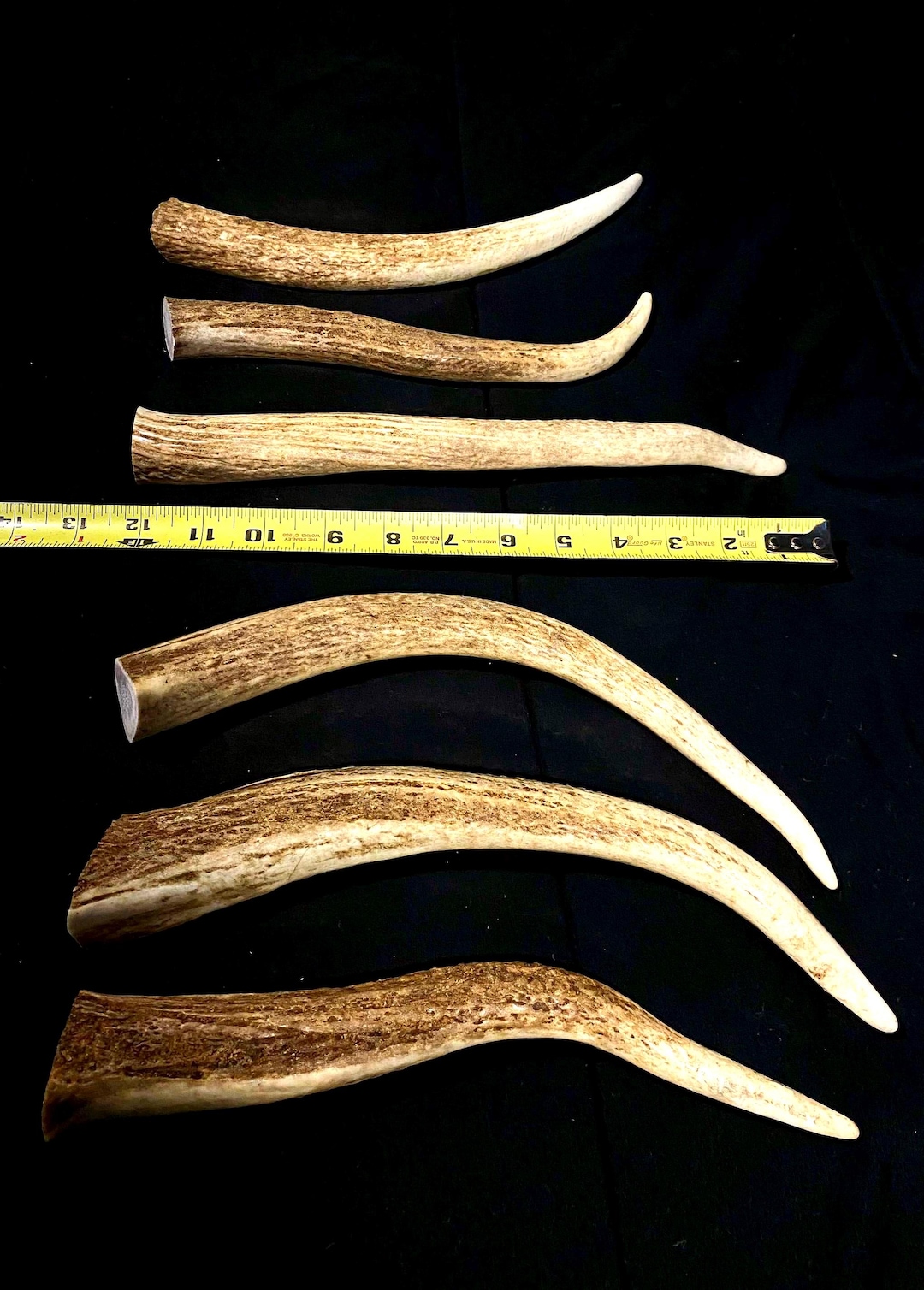 2 Pounds of Large Elk Antler Points - Etsy