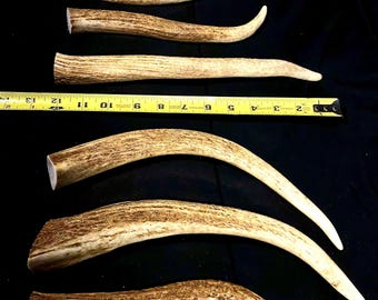 2 Pounds of Large Elk Antler Points - Etsy