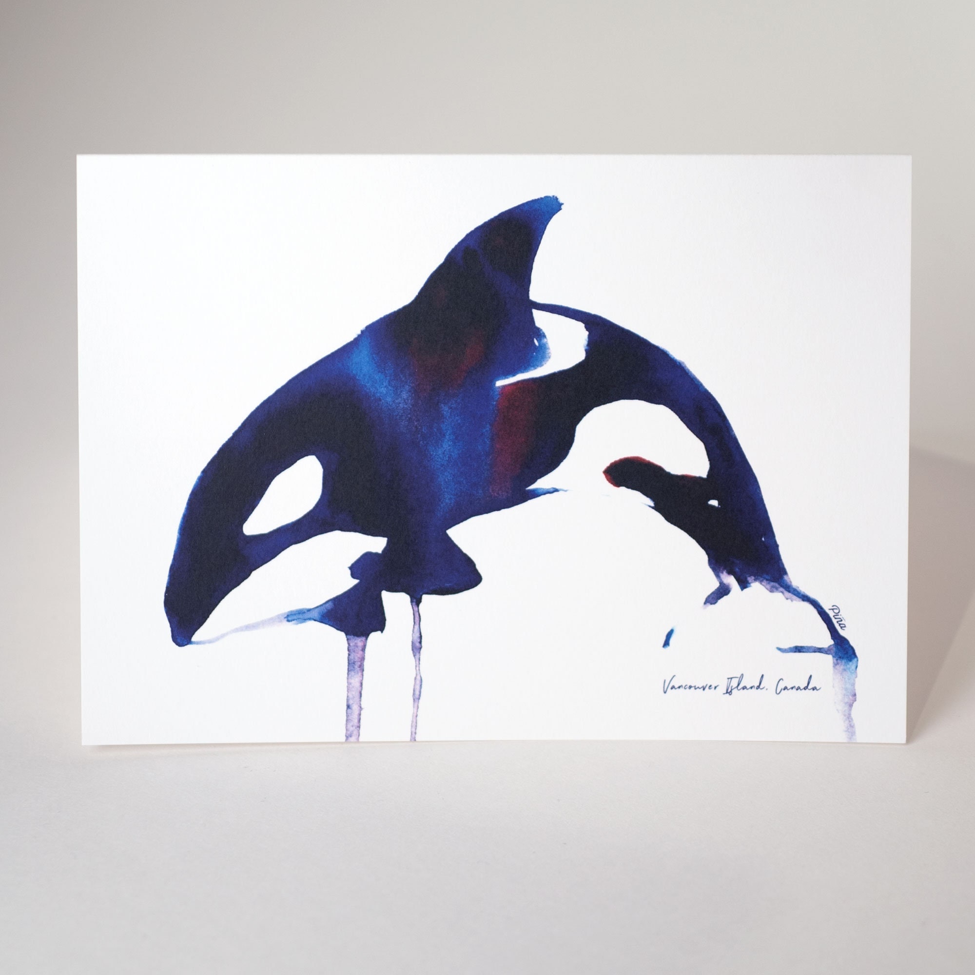 Watercolour Orca Greeting Card - Etsy Canada
