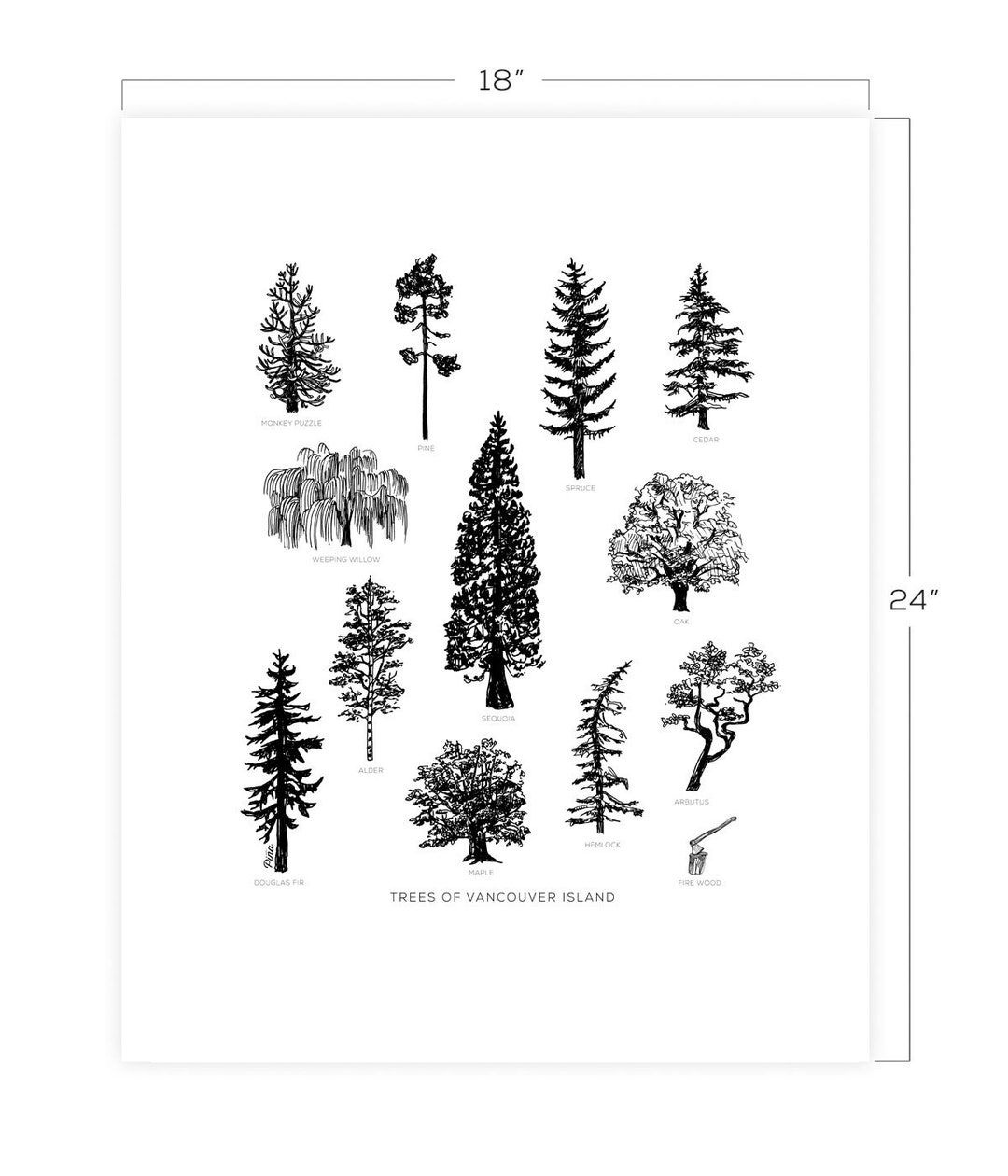 Tree Species Downloadable Print - Etsy