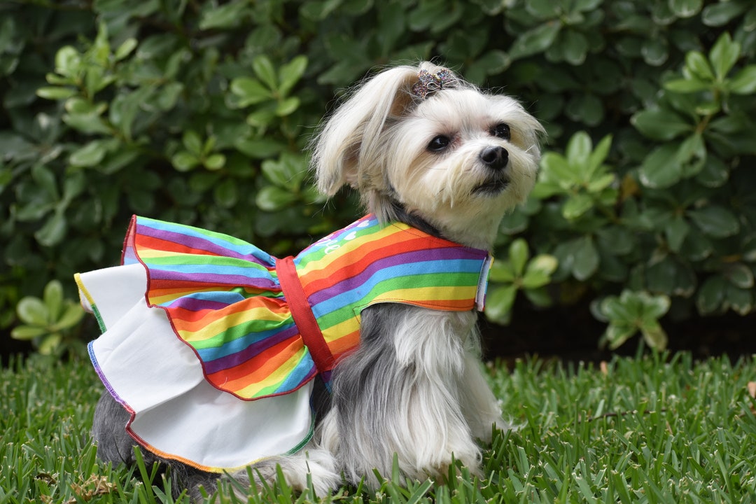 LGBTQ Pride Rainbow Dog Harness Dress, Pet Costume Outfit for Celebrations Pride Parades - Etsy